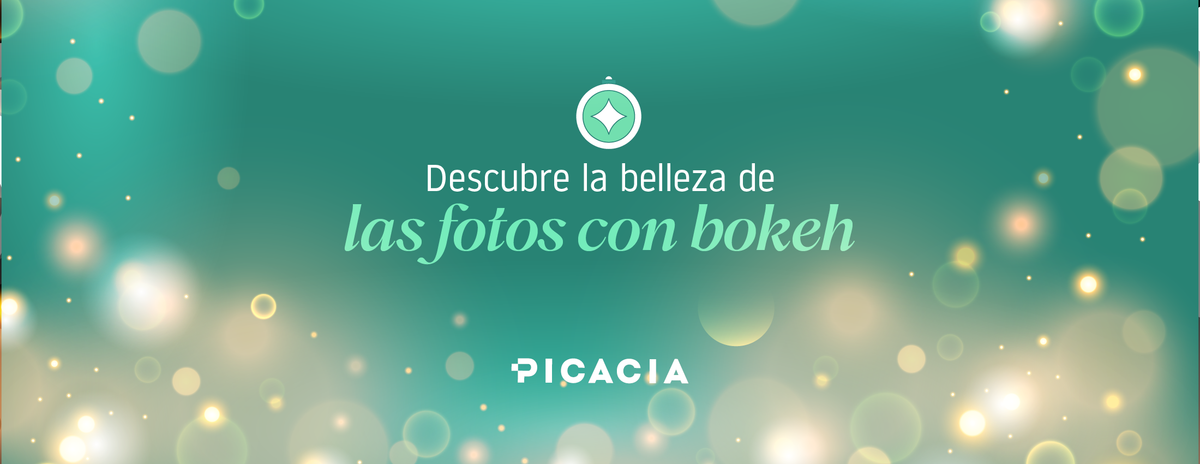Guía rápida y fácil para crear Bokeh en tus Fotos – Picacia